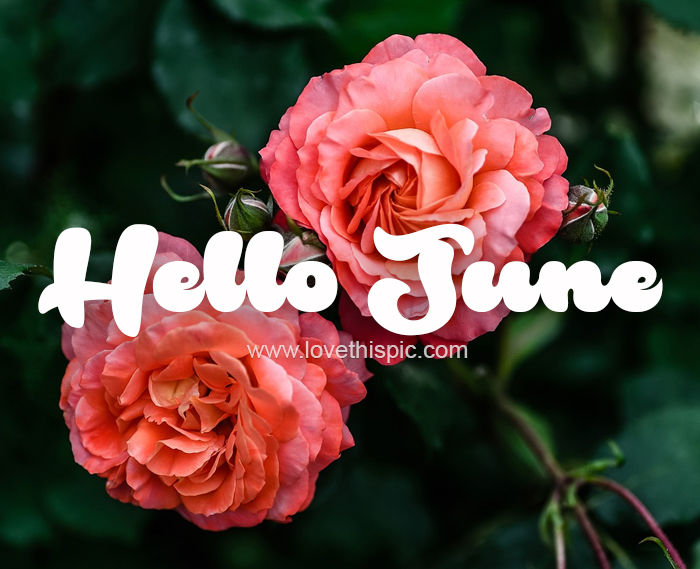 Floral June Landscape Picture Pictures, Photos, and Images for Facebook ...
