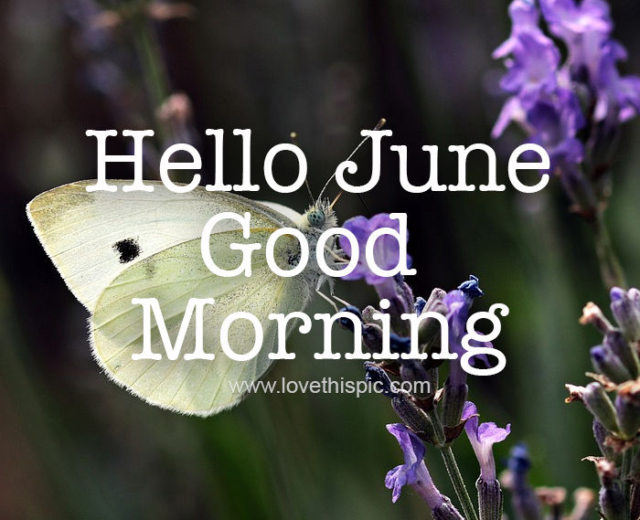 Butterfly Good Morning June Quote Pictures, Photos, and Images for ...