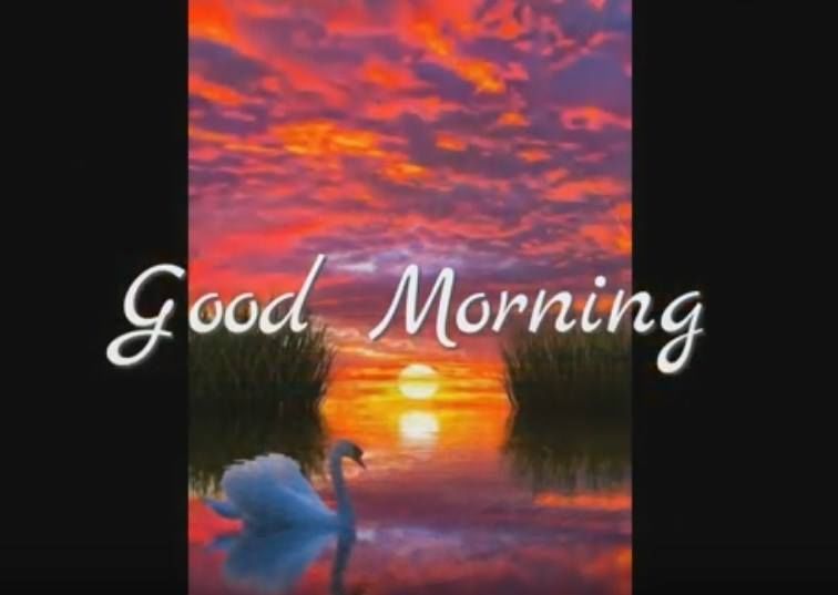 Sunset Swan Good Morning Pictures, Photos, and Images for Facebook ...