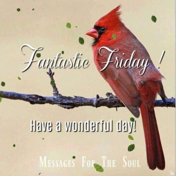 Fantastic Friday Pictures, Photos, and Images for Facebook, Tumblr ...