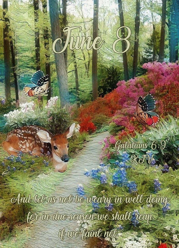 June 8 Pictures, Photos, and Images for Facebook, Tumblr, Pinterest ...