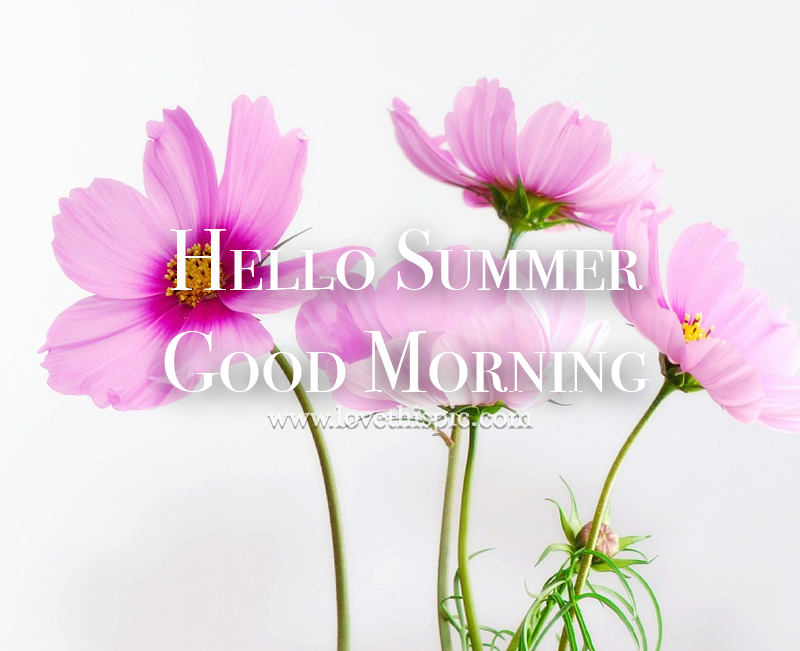 Cosmea Hello Summer Morning Quote Pictures, Photos, and Images for ...