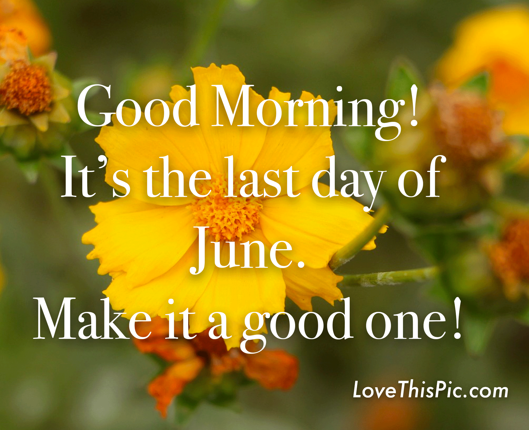 It's The Last Day Of June Pictures, Photos, and Images for Facebook ...