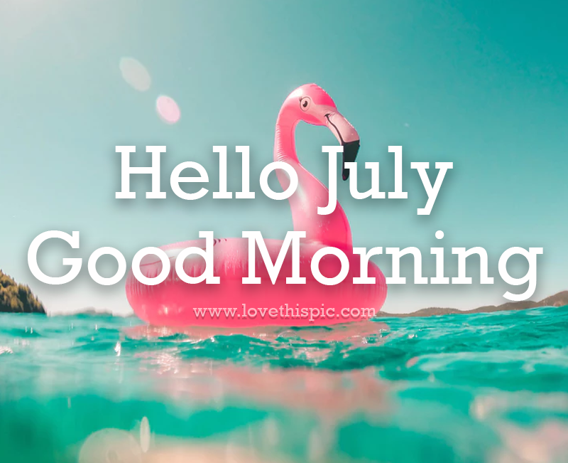 Flamingo Hello July Quote Pictures, Photos, and Images for Facebook ...