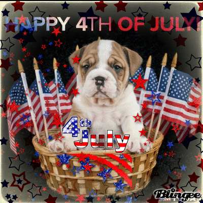4th Of July Dog Pictures, Photos, and Images for Facebook, Tumblr ...