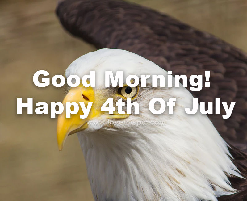 Fierce Eagle Good Morning July 4th Image Pictures, Photos, and Images ...