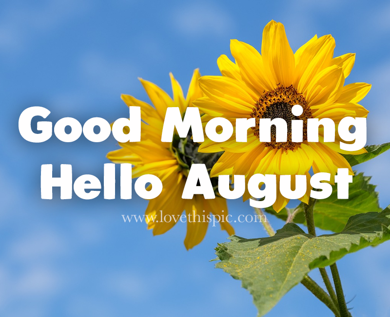 Good Morning Hello August Pictures, Photos, and Images for Facebook ...