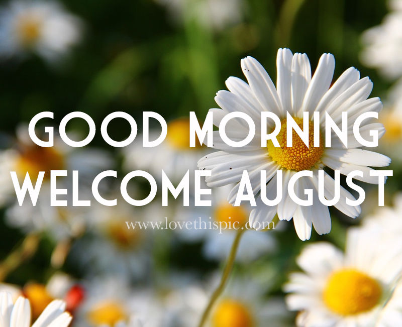 Daisy Welcome August Good Morning Quote Pictures, Photos, and Images ...