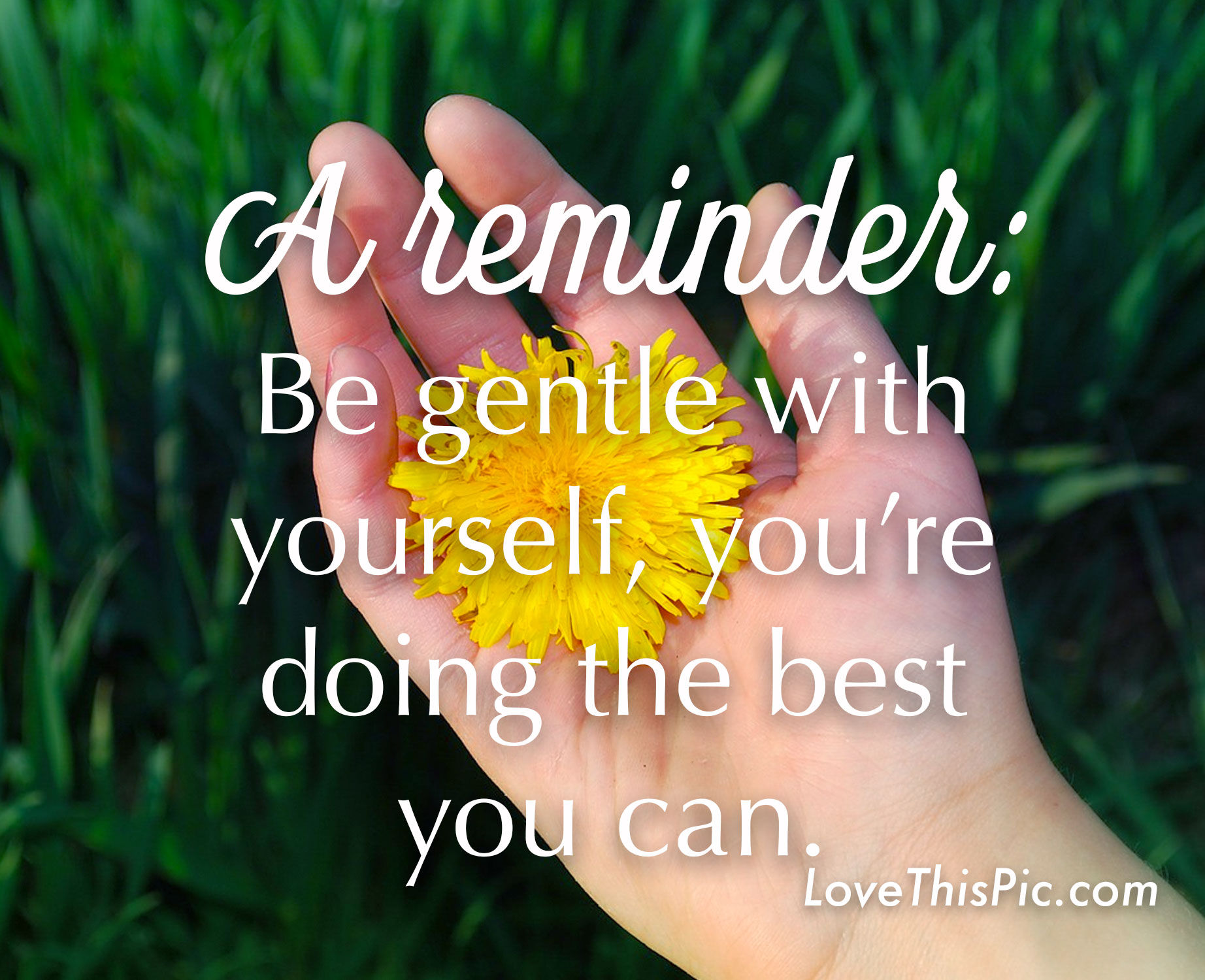 A Reminder Pictures, Photos, and Images for Facebook, Tumblr, Pinterest ...