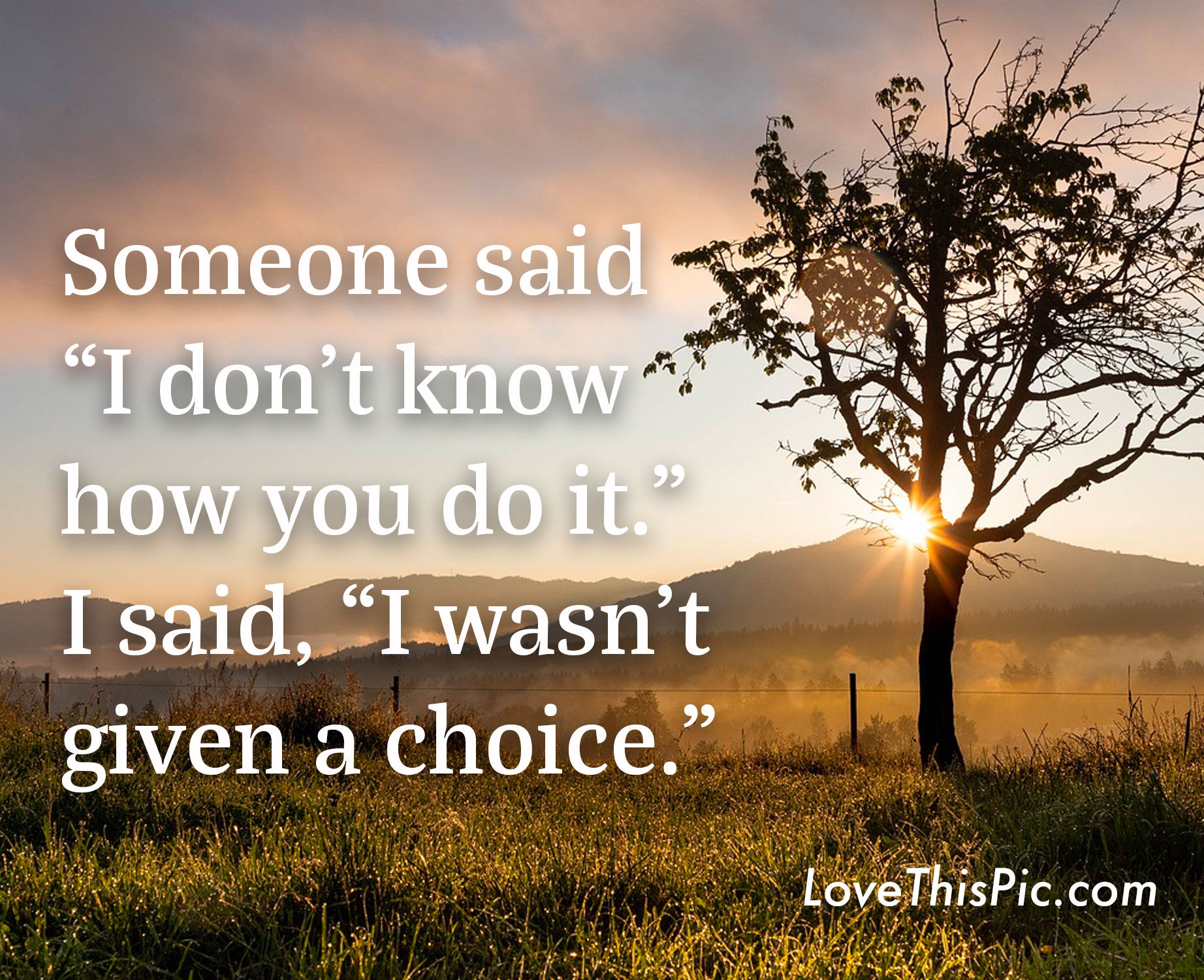 Someone Said Pictures, Photos, and Images for Facebook, Tumblr ...