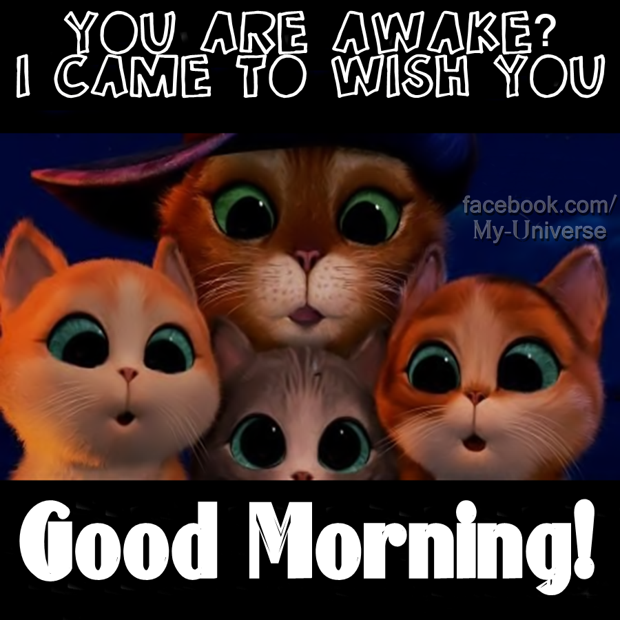 You Are Awake? I Came To Wish You Good Morning Pictures, Photos, and ...