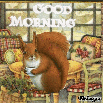 Good Morning Squirrel Pictures, Photos, and Images for Facebook, Tumblr ...