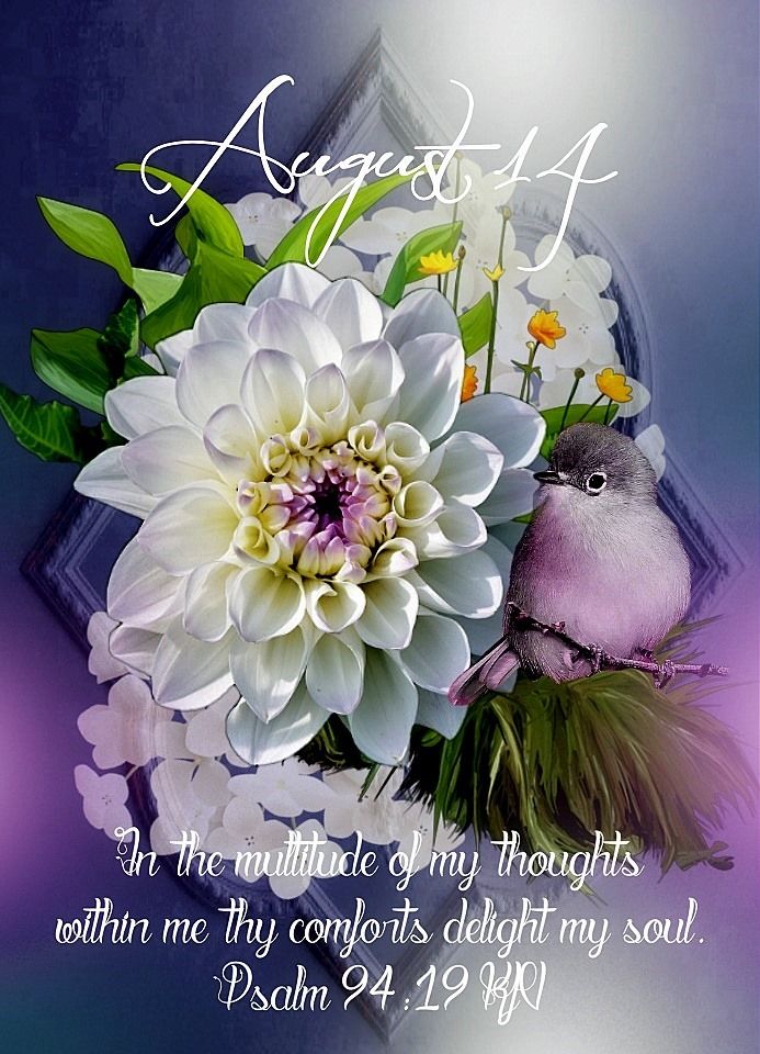 August 14 Pictures, Photos, and Images for Facebook, Tumblr, Pinterest ...