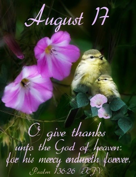 August 17 Pictures, Photos, and Images for Facebook, Tumblr, Pinterest ...