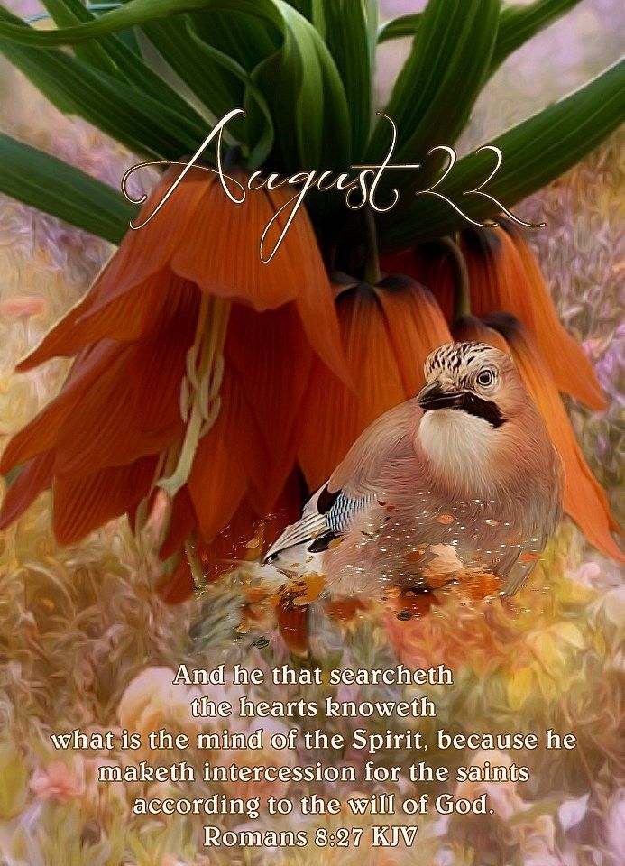 August 22 Pictures, Photos, and Images for Facebook, Tumblr, Pinterest ...