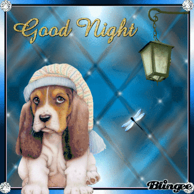 Night Doggy Pictures, Photos, and Images for Facebook, Tumblr ...