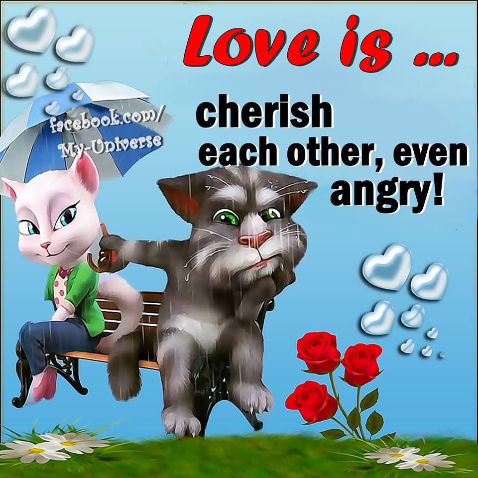 Love Is Pictures, Photos, and Images for Facebook, Tumblr, Pinterest ...