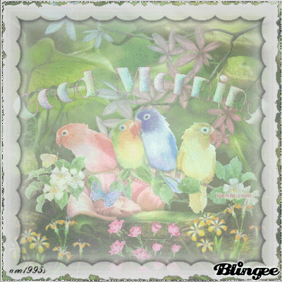 Parrot Good Morning Quote Pictures, Photos, and Images for Facebook ...