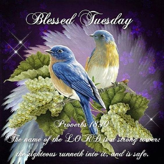 Blessed Tuesday Pictures, Photos, and Images for Facebook, Tumblr ...