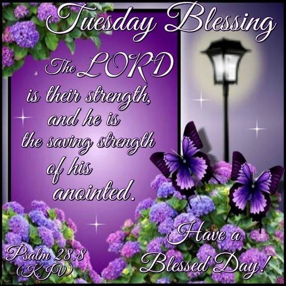 The Lord Is Their Strength And He Is The Saving Strength Of His ...