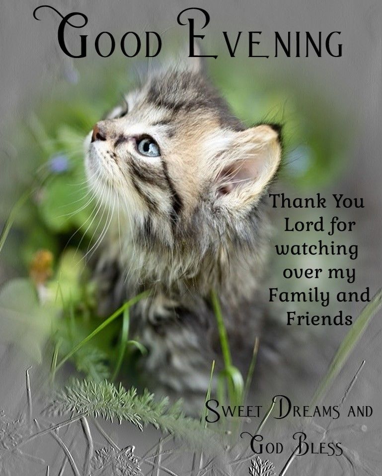 Thank You Lord For Watching Over My Friends And Family God Bless Your ...