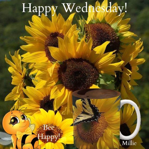 Happy Wednesday Pictures, Photos, and Images for Facebook, Tumblr ...