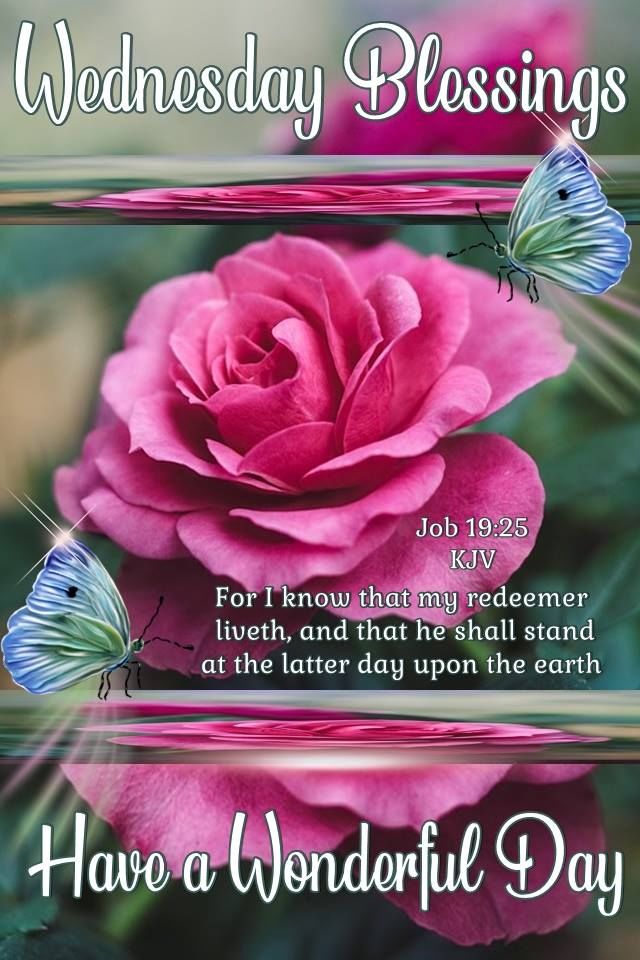 Wednesday Blessings Butterfly Flower Quote Pictures, Photos, and Images ...