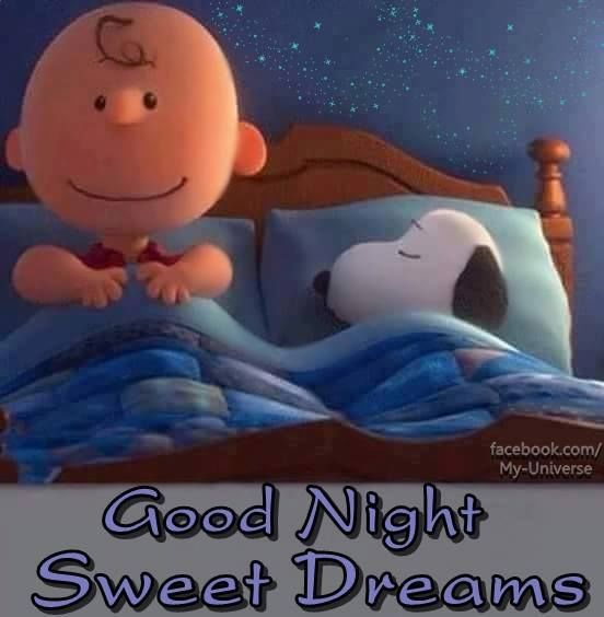 Charlie & Snoopy Good Night Sweet Dreams Pictures, Photos, and Images ...