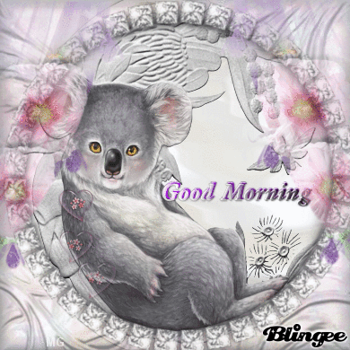 Koala Good Morning Gifs Pictures, Photos, and Images for Facebook ...