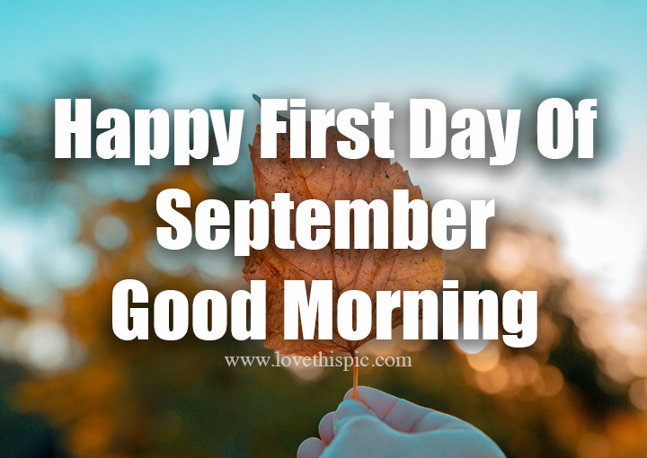 Dry Leaf First Day Of September Pictures, Photos, and Images for ...