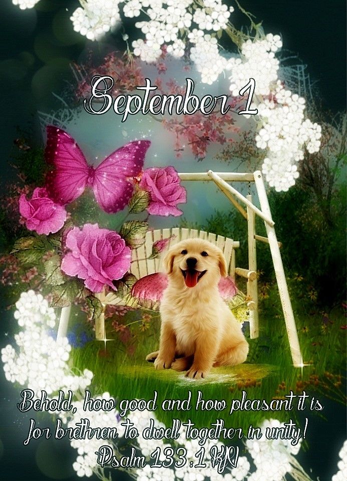 September 1 Pictures, Photos, and Images for Facebook, Tumblr ...