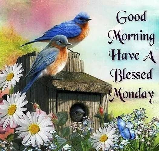 Bluebird Blessed Monday Pictures, Photos, and Images for Facebook ...