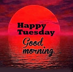 Red Sun Happy Tuesday Good Morning Pictures, Photos, and Images for ...