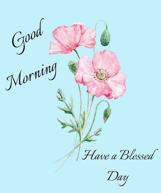 Blessed Morning Image Pictures, Photos, and Images for Facebook, Tumblr ...