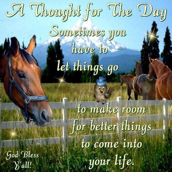 Sometimes You Have To Let Things Go Pictures, Photos, and Images for ...