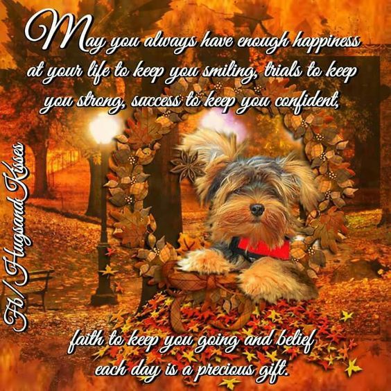 May You Always Have Enough Happiness At Your Life To Keep You Smiling ...