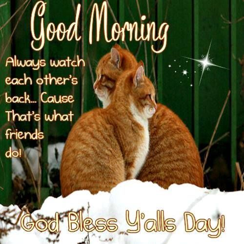 Always Watch Each Other's Back...cause That's What Friends Do Pictures ...