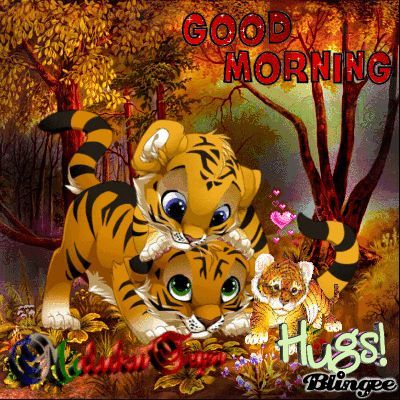 Tiger Cub Good Morning Hugs Pictures, Photos, and Images for Facebook ...