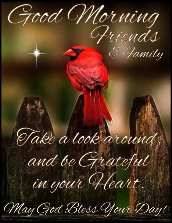 Grateful Heart Good Morning Quote Pictures, Photos, and Images for ...