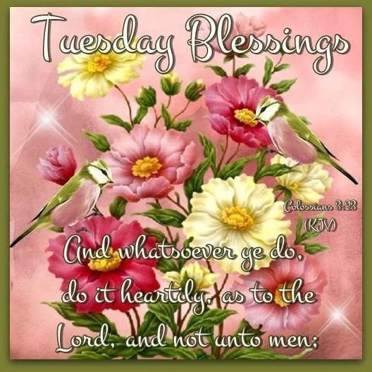 Floral Tuesday Blessing Image Pictures, Photos, and Images for Facebook ...