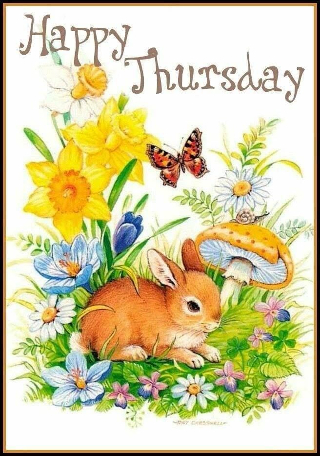 Happy Thursday Pictures, Photos, and Images for Facebook, Tumblr ...