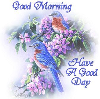 Blue Bird Good Morning Have A Good Day Pictures, Photos, and Images for ...