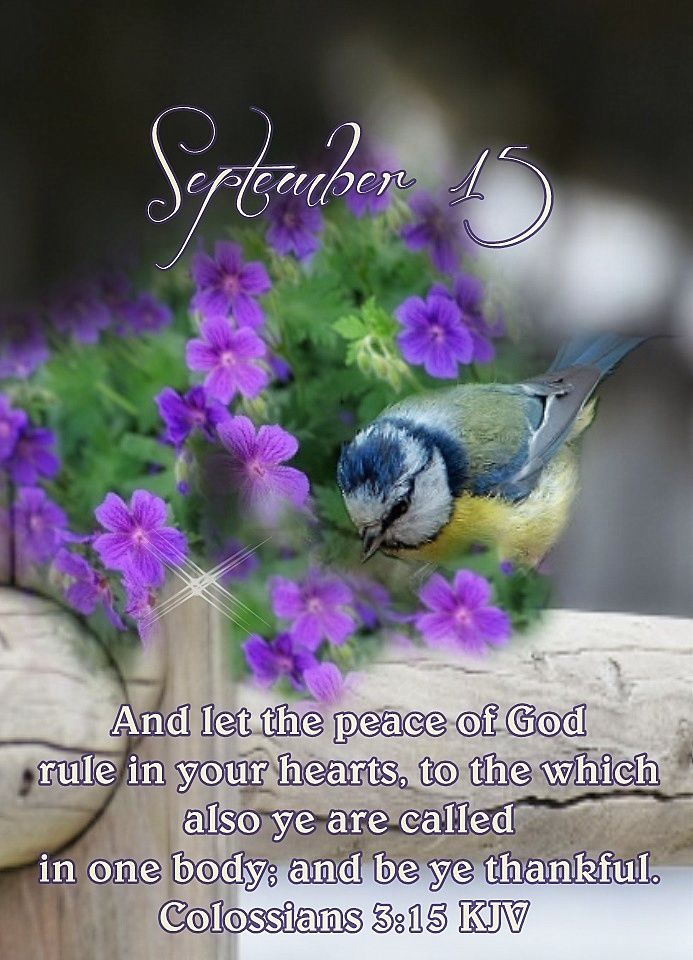 September 15 Pictures, Photos, and Images for Facebook, Tumblr ...