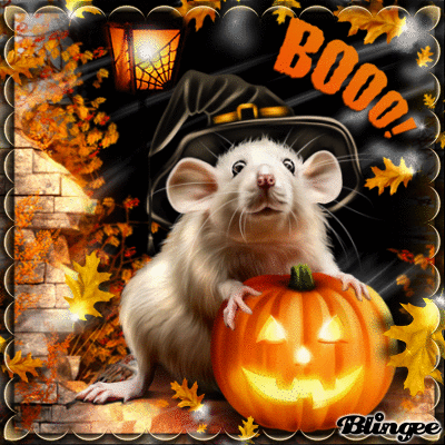 Booo! Pictures, Photos, and Images for Facebook, Tumblr, Pinterest, and ...