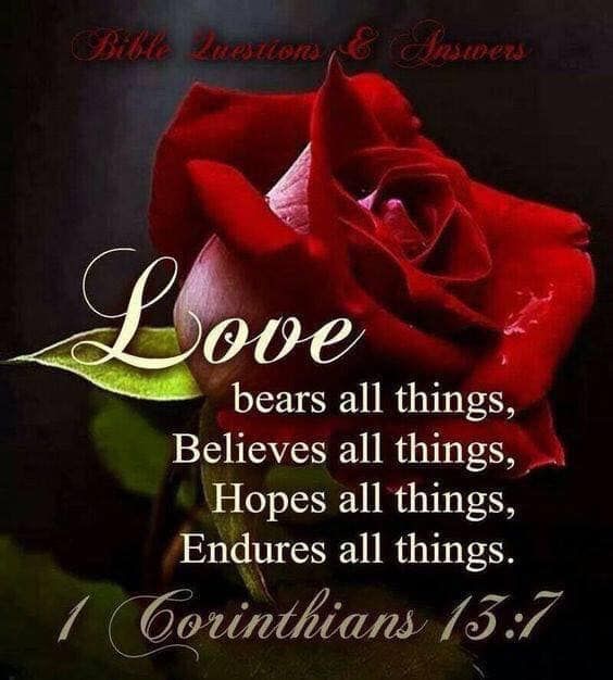 Love Pictures, Photos, and Images for Facebook, Tumblr, Pinterest, and ...