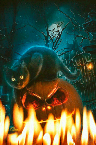 Black Cat On Jack O Lantern Pictures, Photos, and Images for Facebook ...
