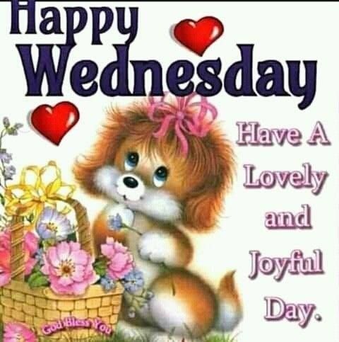 Happy Wednesday Pictures, Photos, and Images for Facebook, Tumblr ...