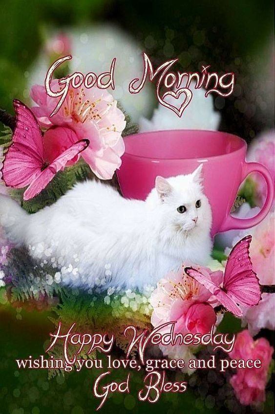 Love, Grace And Peace, Happy Wednesday Pictures, Photos, and Images for ...