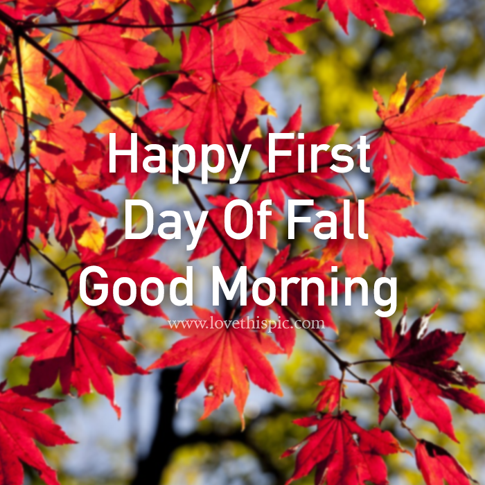 Maple Leaf Happy First Day Of Fall Good Morning Pictures, Photos, and ...