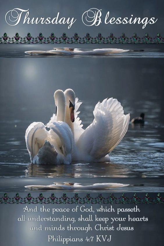 Thursday Blessing Doves Pictures, Photos, and Images for Facebook ...